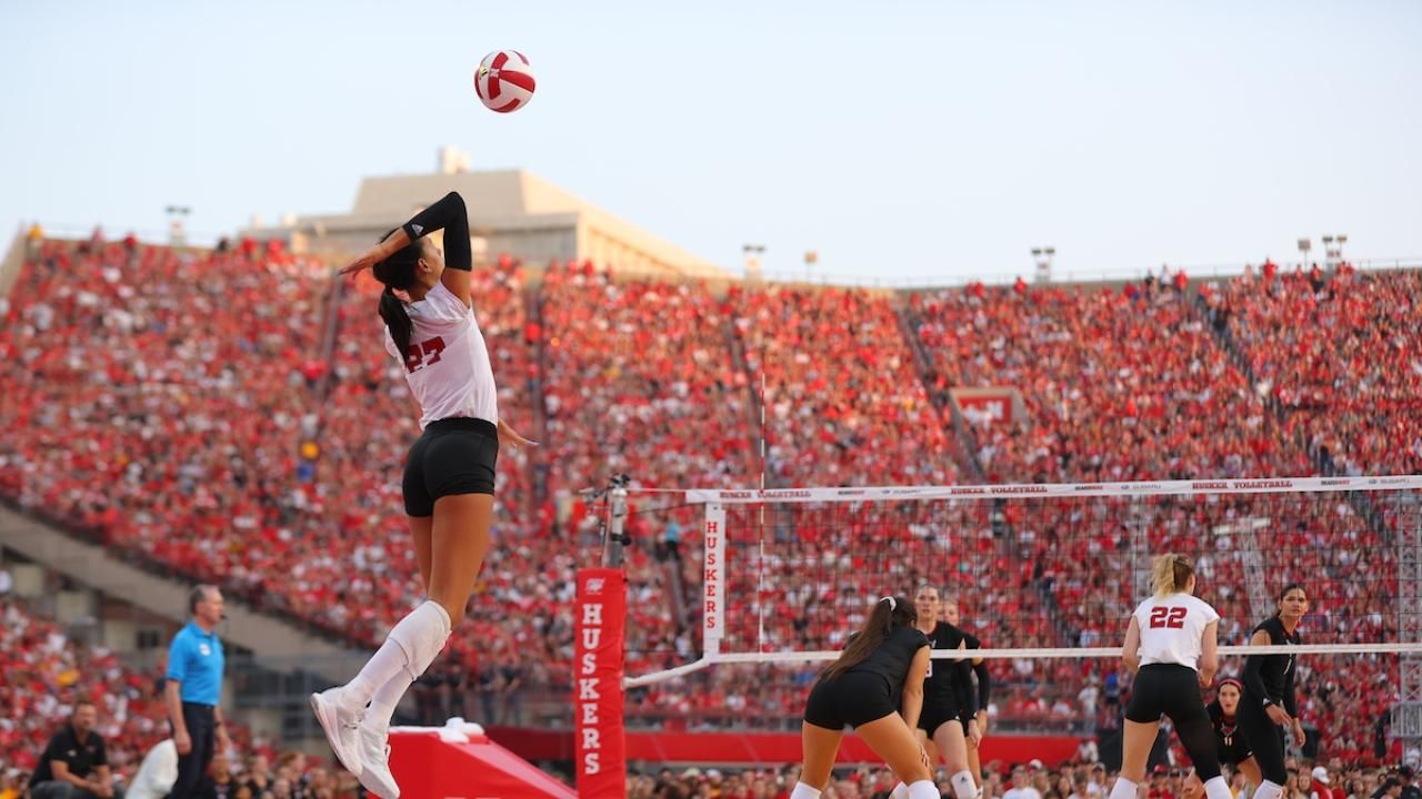 Everything you need to know about LOVB, PVF, and the evolving ...