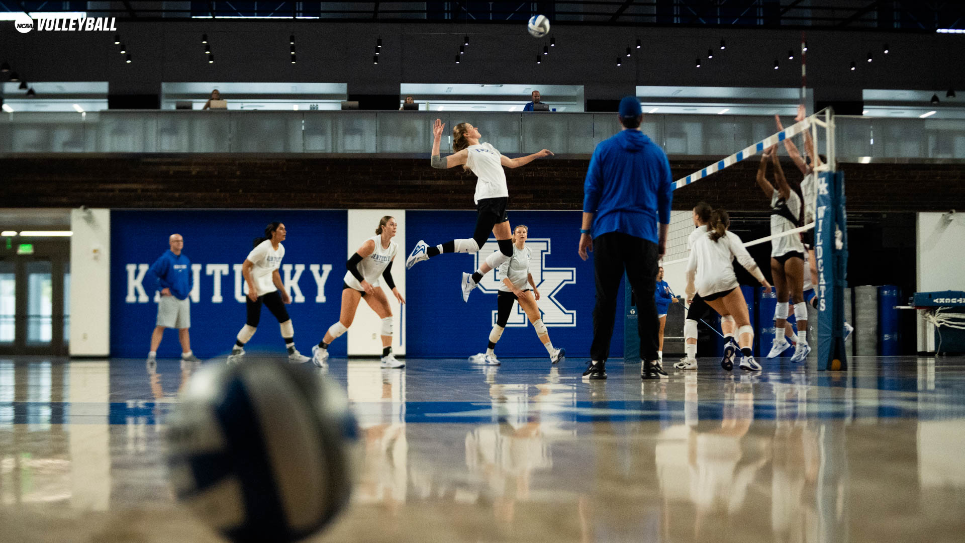 Tonight’s docket features an all-time great slate of NCAA women’s ...